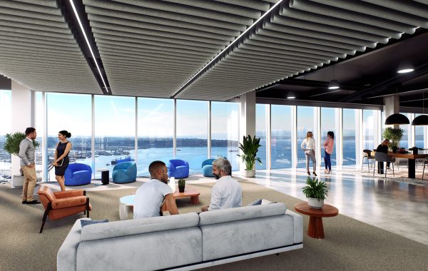 The Net - Urban Visions